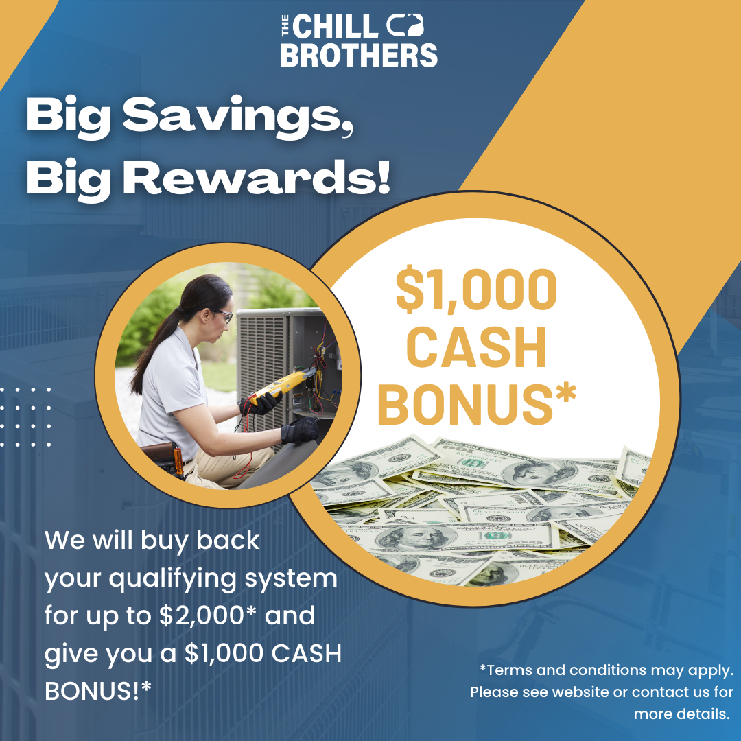 Cash Back Bonus Promotion - The Chill Brothers